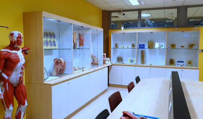 NYP | School of Health & Social Sciences